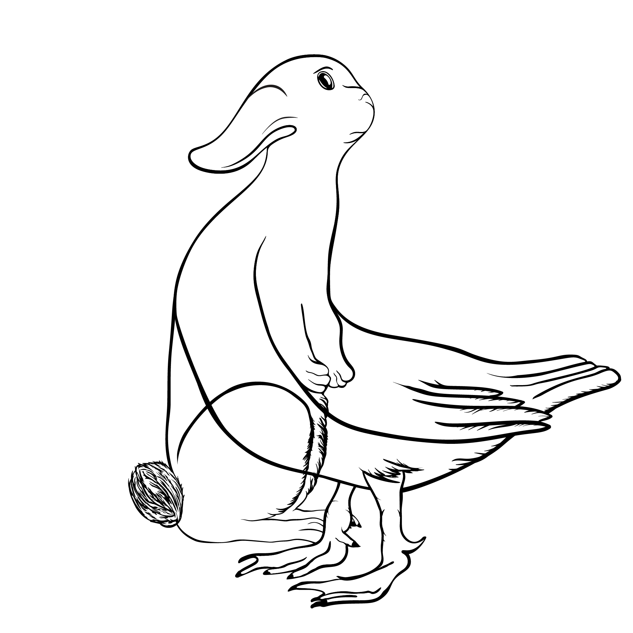 Dimitry Saïd Chamy – Artist, designer, storyteller